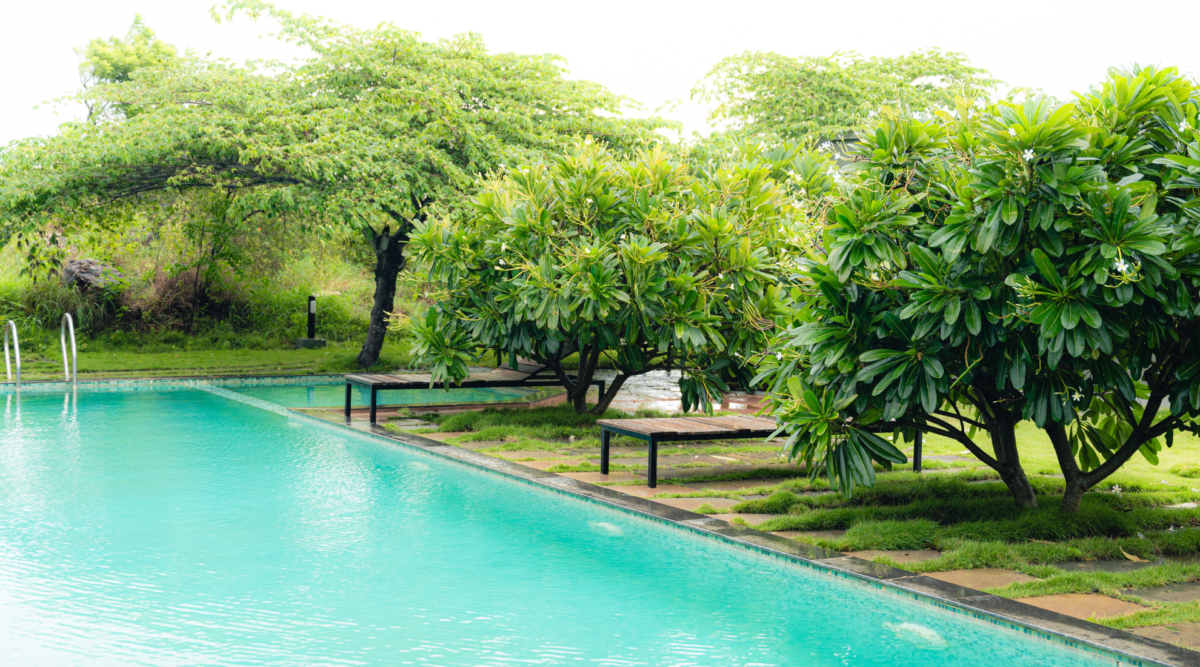 Gallery - Anantham Agroforestry Resort | Luxury Agroforestry Resort in ...